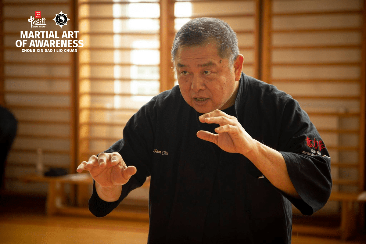 - Martial Art of Awareness