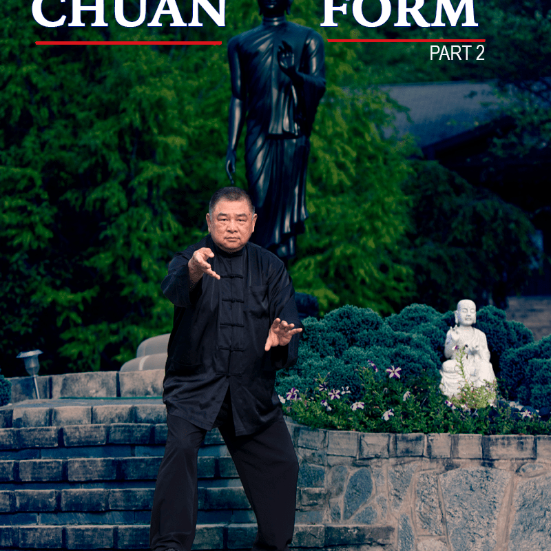 21 Form – Part 1 with Grandmaster Sam F.S. Chin - Martial Art of Awareness