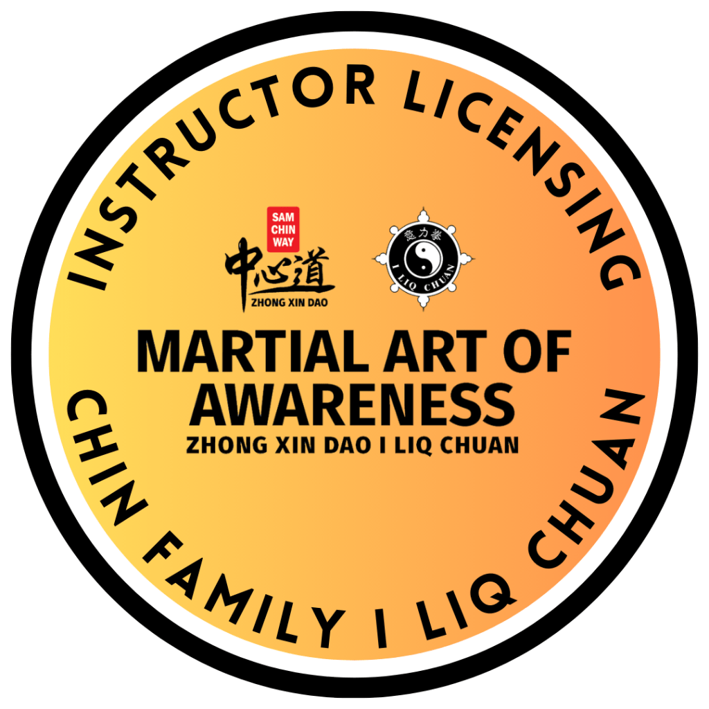 - Martial Art of Awareness