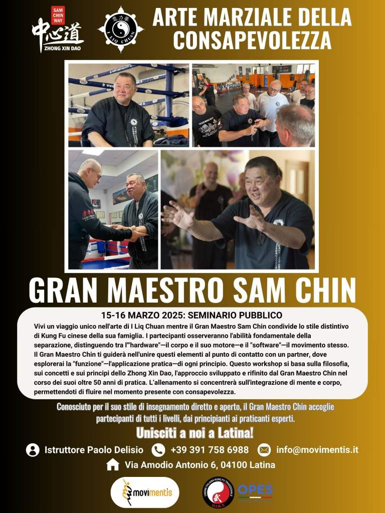 - Martial Art of Awareness